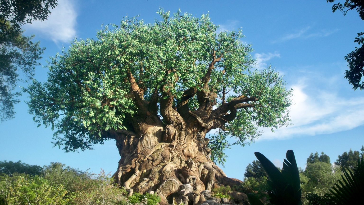 80 Fun and Interesting Facts about Walt Disney World that Your Kids ...