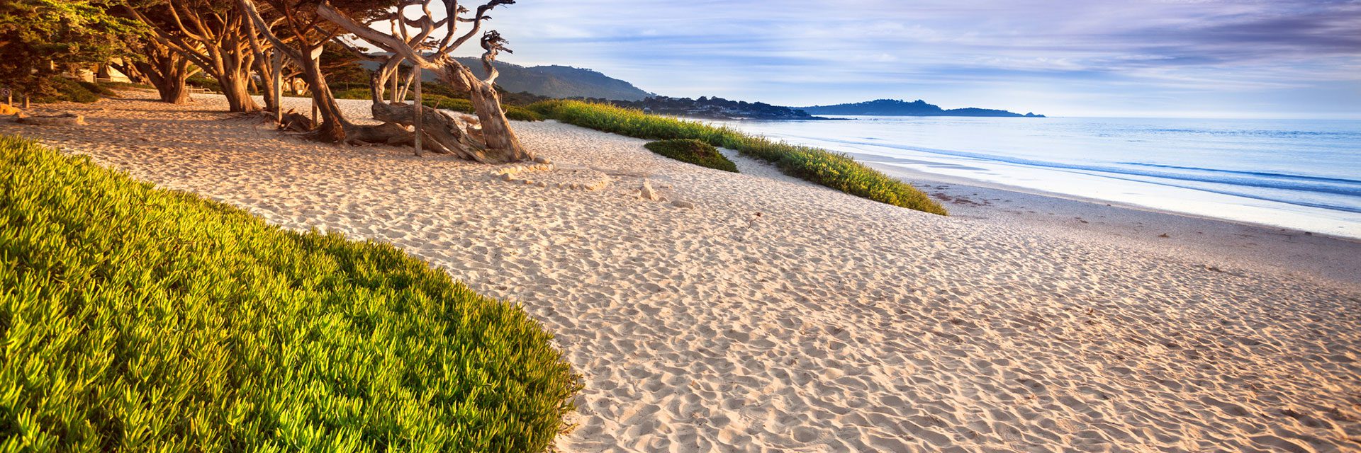 The Ultimate Guide to Monterey Beaches - The Family Vacation Guide