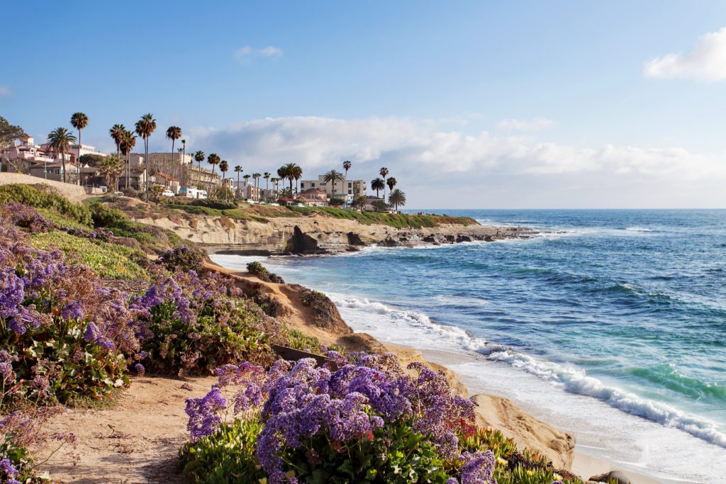 California vs. Florida Beaches: Which are Better for Families with Kids ...