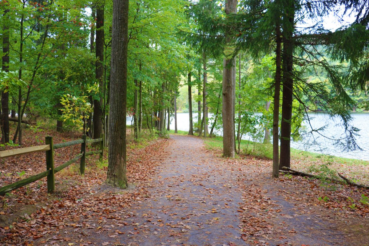 15 of the Best State Parks in Pennsylvania for Families with Kids - The ...