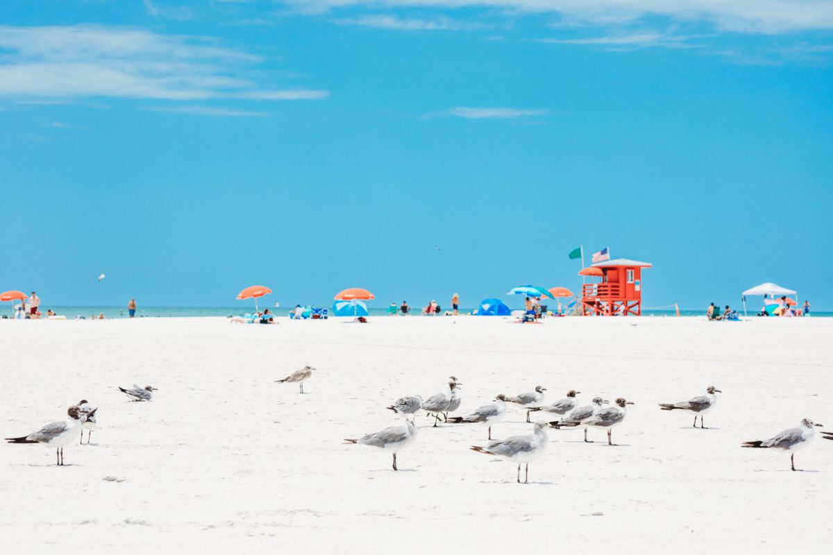 10 of the Best Beaches in Sarasota - The Family Vacation Guide