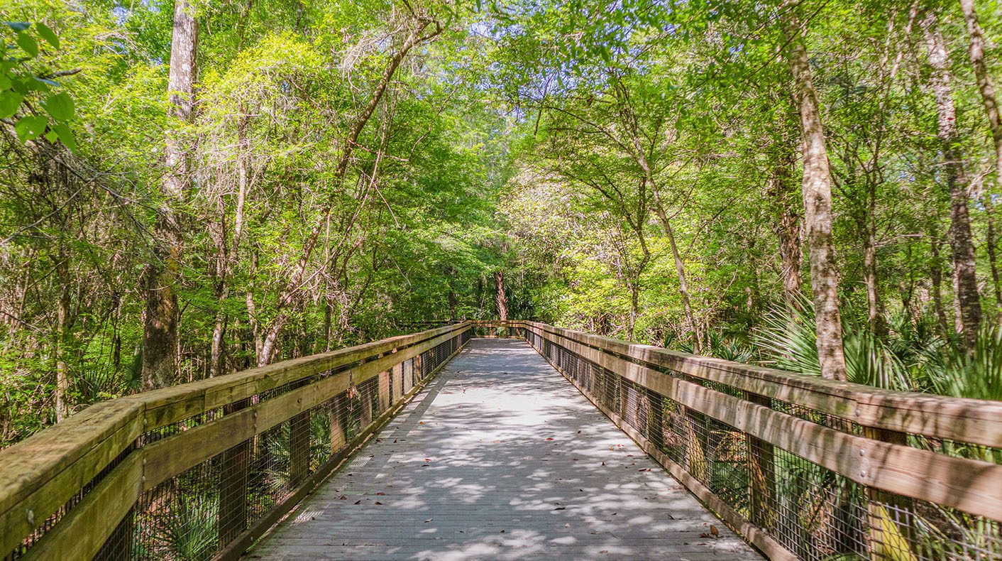 Rainbow Springs State Park: Everything You Need To Know To Plan Your ...