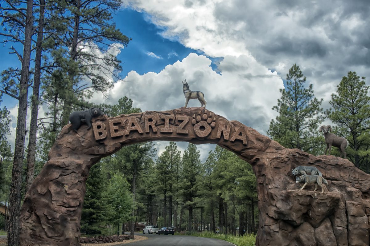 12 of the Best Drive Thru Zoos & Safaris in the US - The Family ...