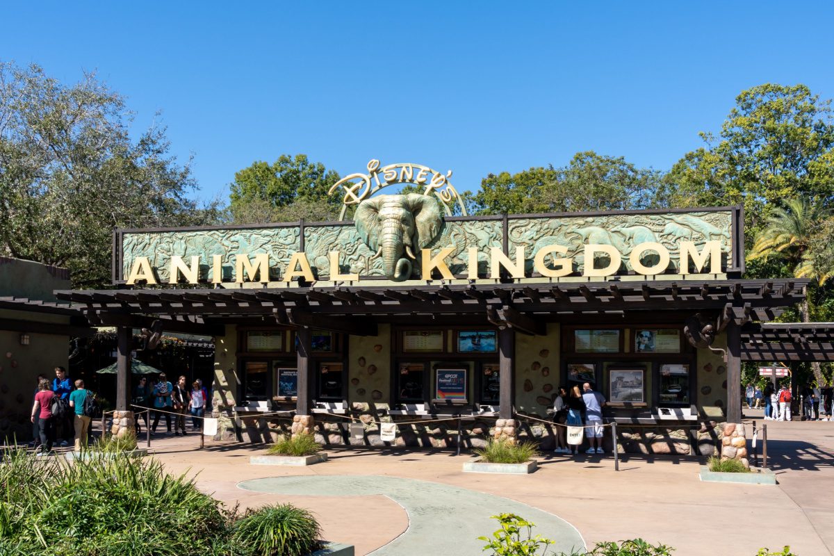 Avatar Flight of Passage at Disney's Animal Kingdom: The Ultimate Guide ...