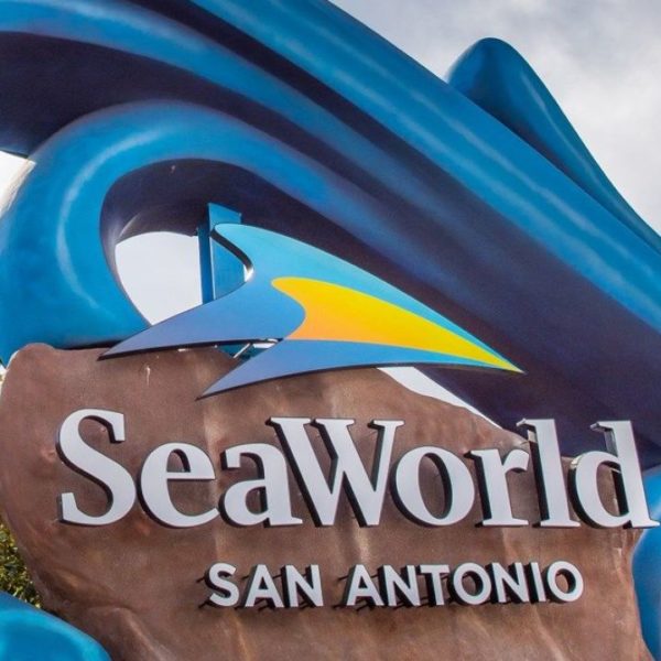 Florida Weather in February: What to Expect on Your Vacation - The ...