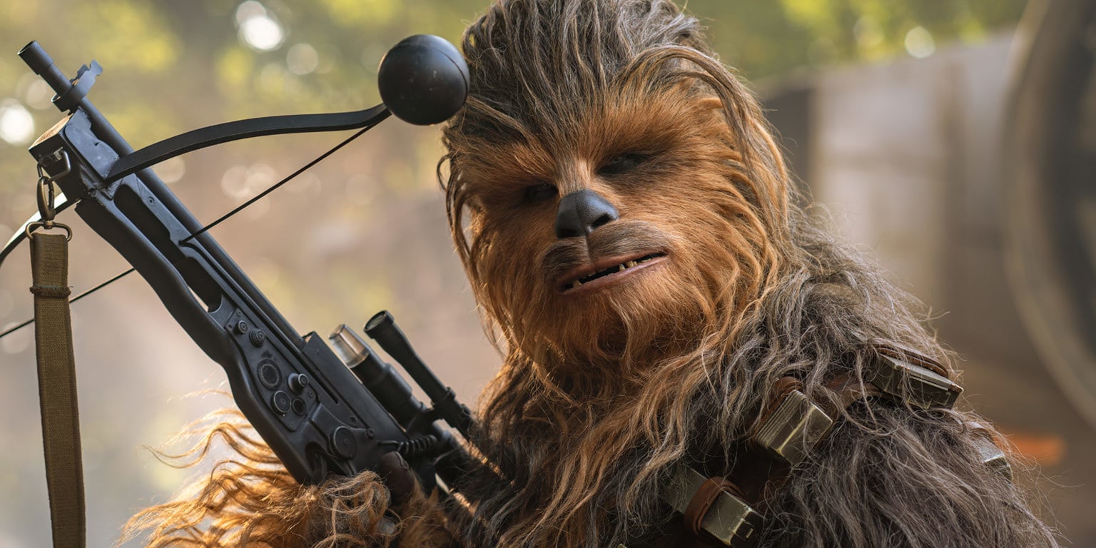 Where Can You Meet Chewbacca at Disney World? - The Family Vacation Guide