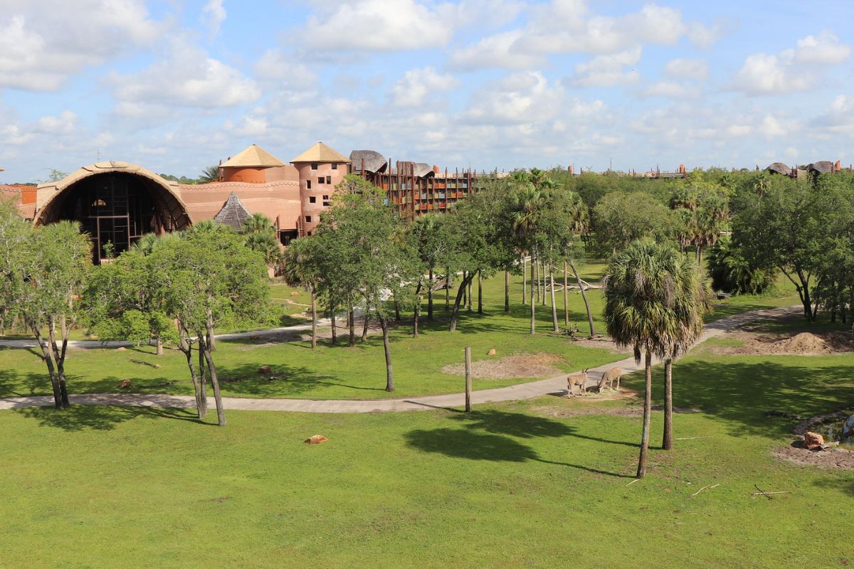 Disney's Animal Kingdom Villas: Everything You Need To Know - The ...